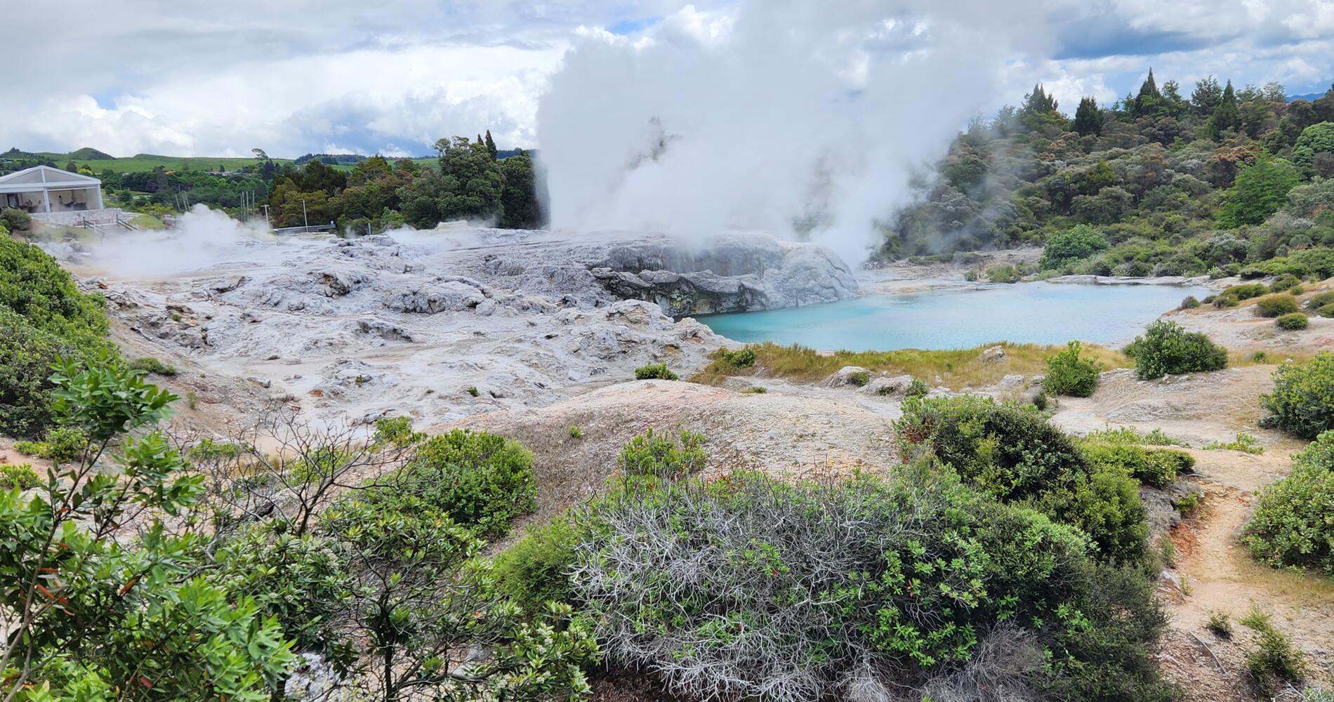 Whakarewarewa Rotorua Tour | Activities & Day Trips in Bay of Plenty ...