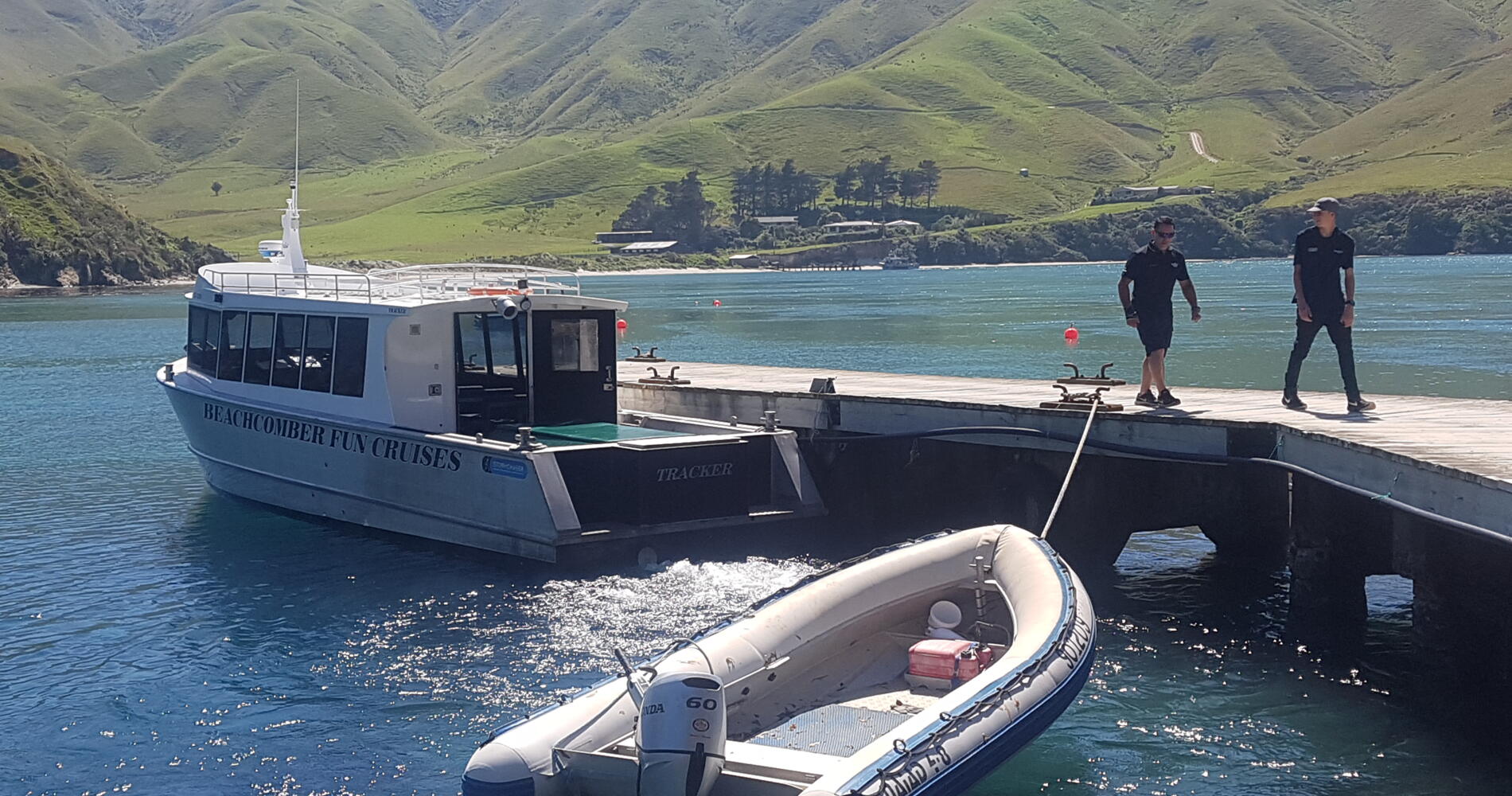 Private Paua Pearl Tour with Beachcomber Cruises | Activities & Day ...