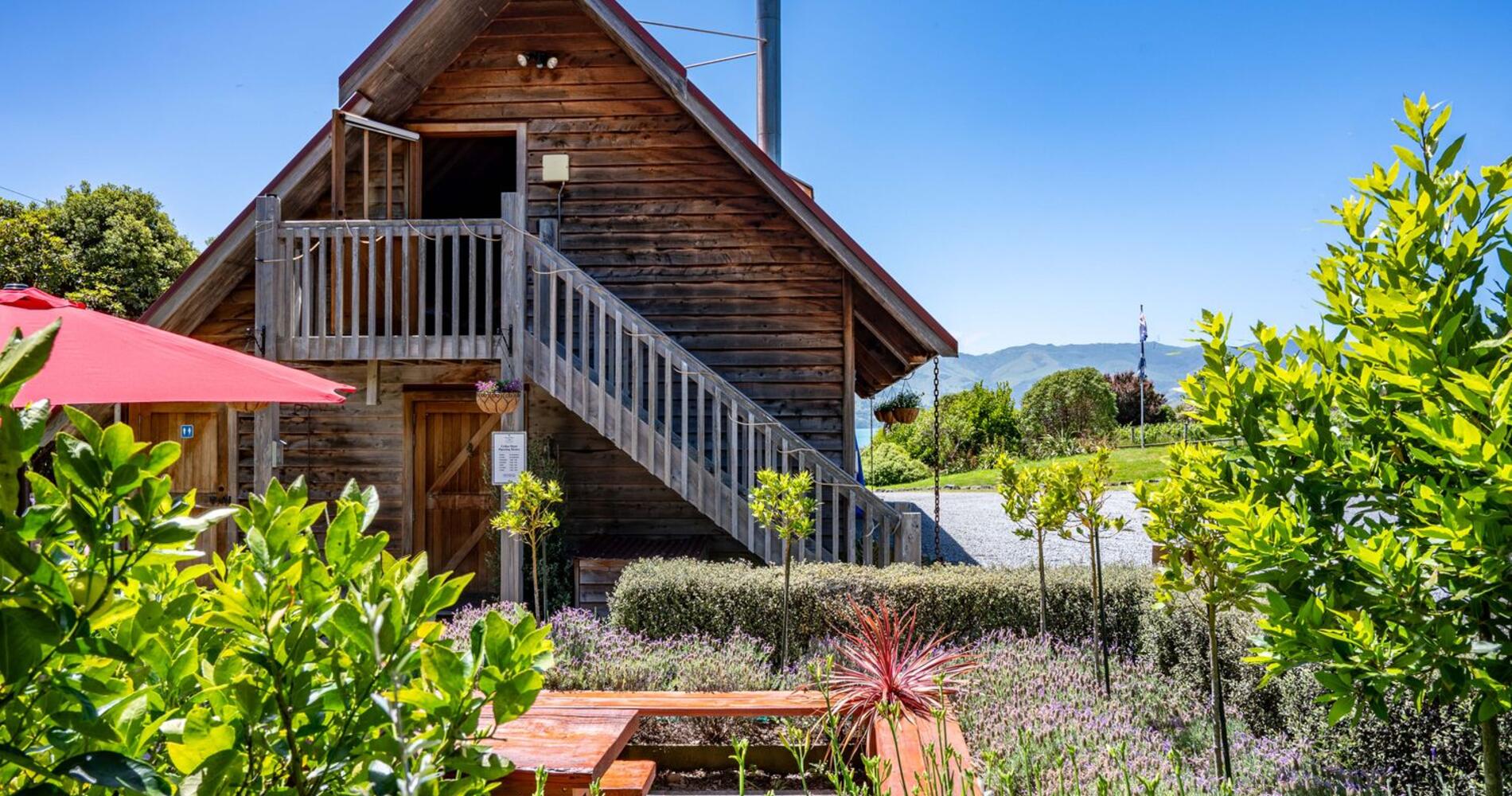 French Peak Vineyard | Activities & Day Trips in Christchurch ...