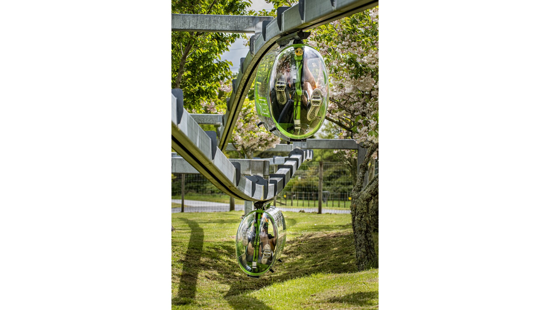 Individual Pick 1 Ride | Activities & Day Trips in Rotorua, New Zealand