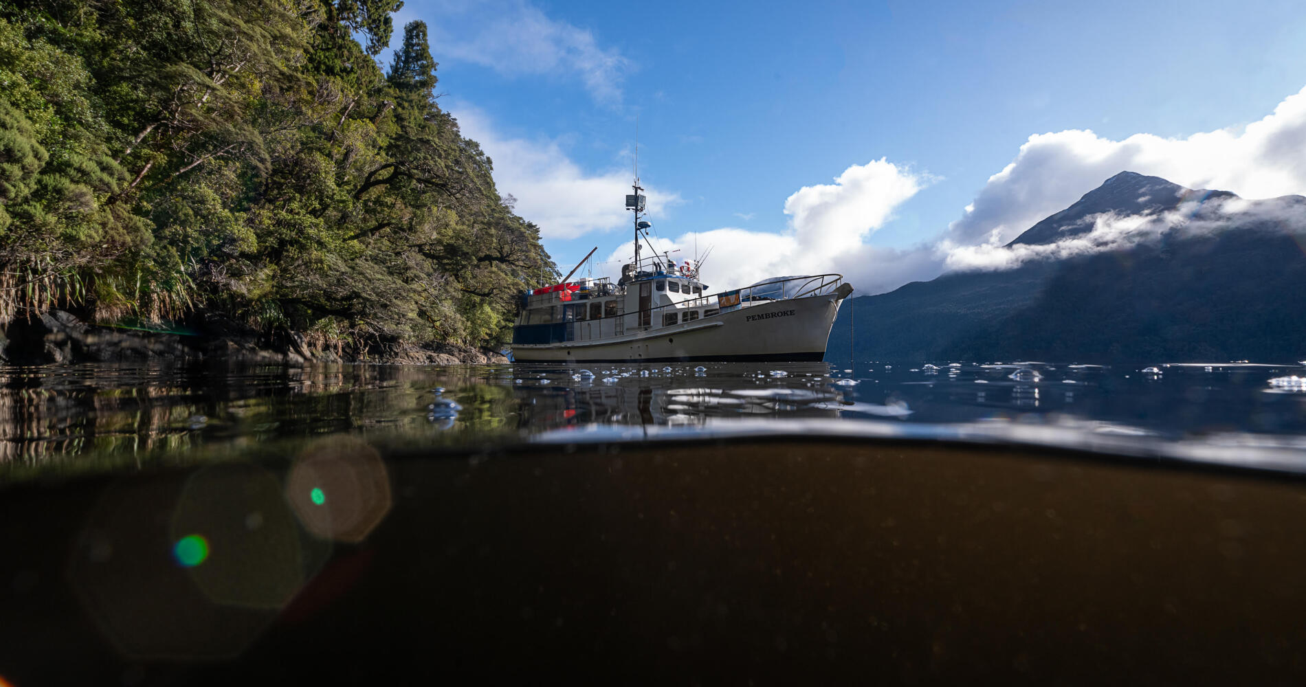Fiordland multi day experience charter boat | Activity in Fiordland ...