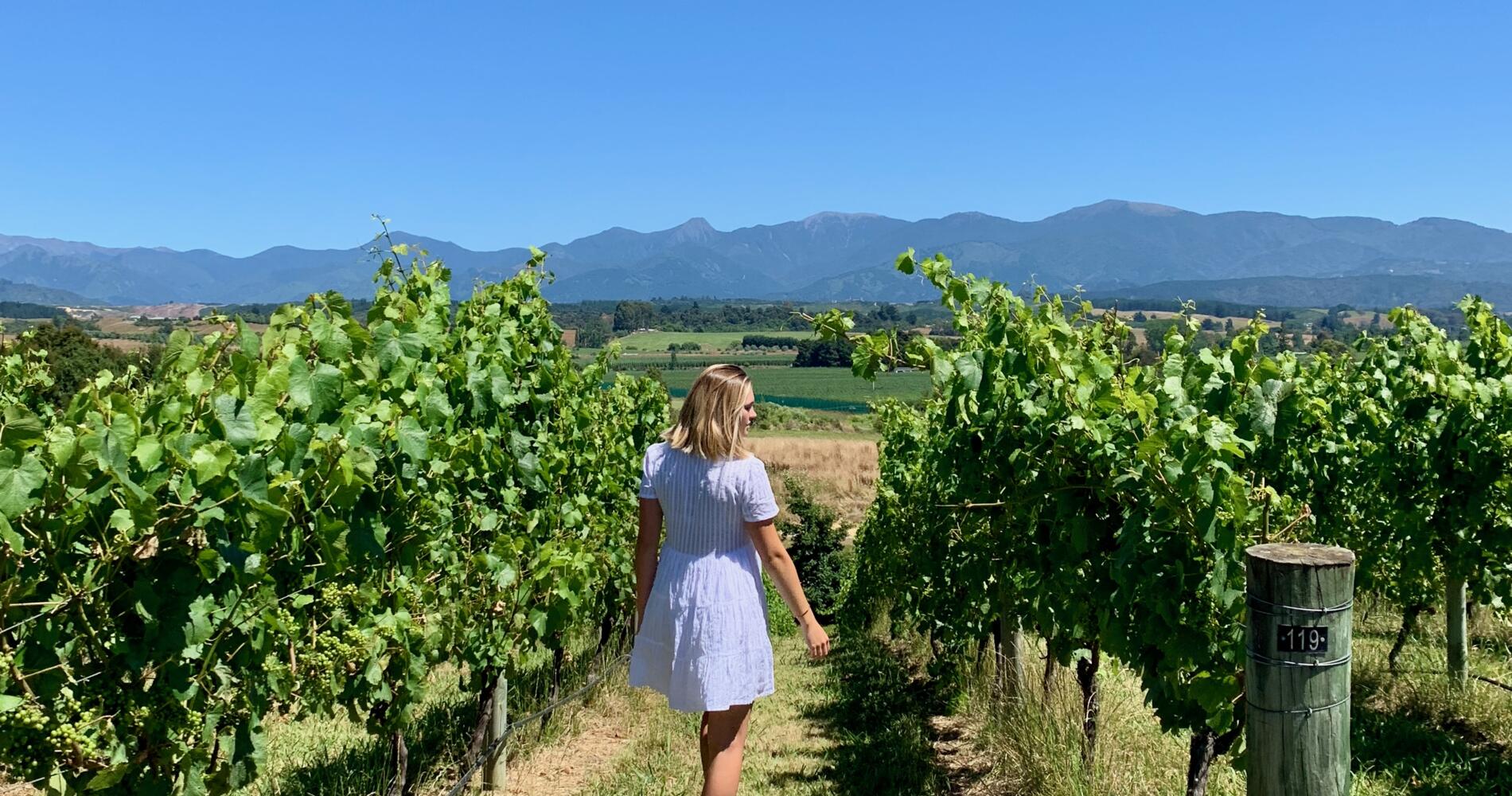 Vineyard Walk at Flaxmore Vineyards | Activities & Day Trips in Nelson ...