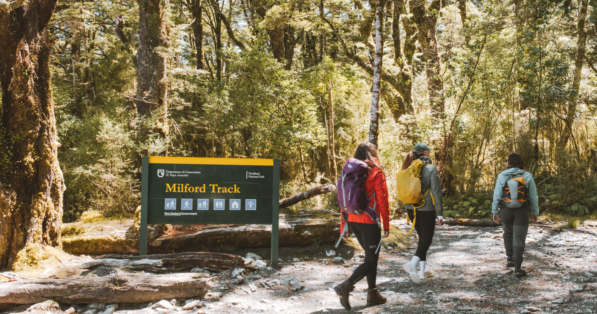 Milford Track Day Walk - Lake Te Anau - Fiordland Outdoors | Activities ...