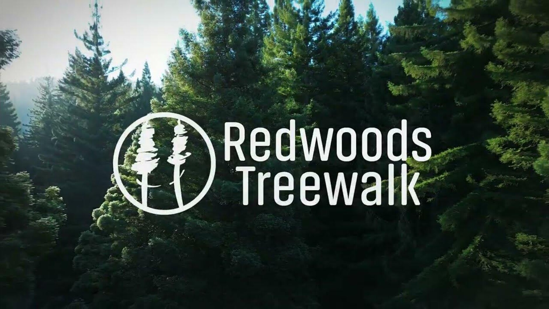 Redwoods Treewalk | Activities & Day Trips in Rotorua, New Zealand
