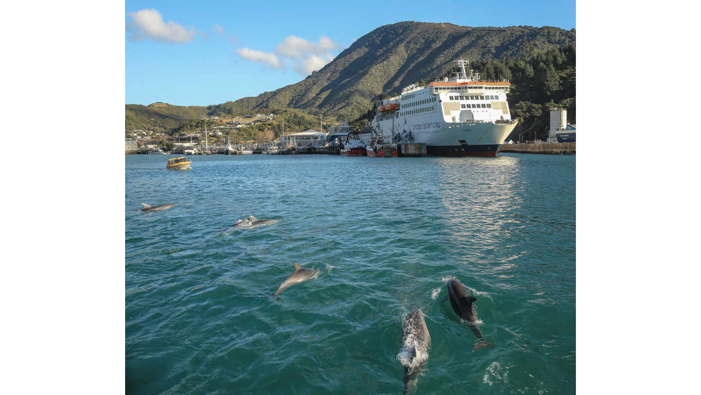 Interislander Cook Strait ferry – Wellington to Picton | Transport in ...
