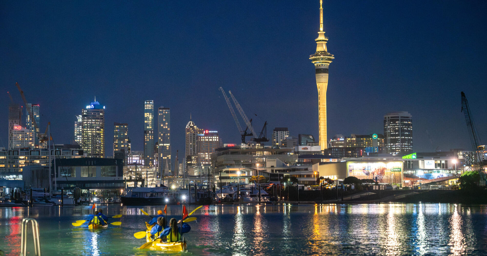 City Lights Night Kayak Tour - Auckland Sea Kayaks | Activities & Day ...