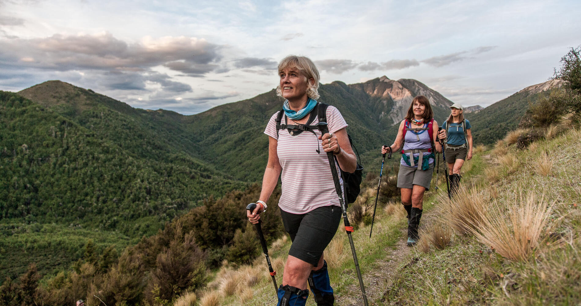 Island Hills High Country | Guided Hike | Great Walks of New Zealand ...