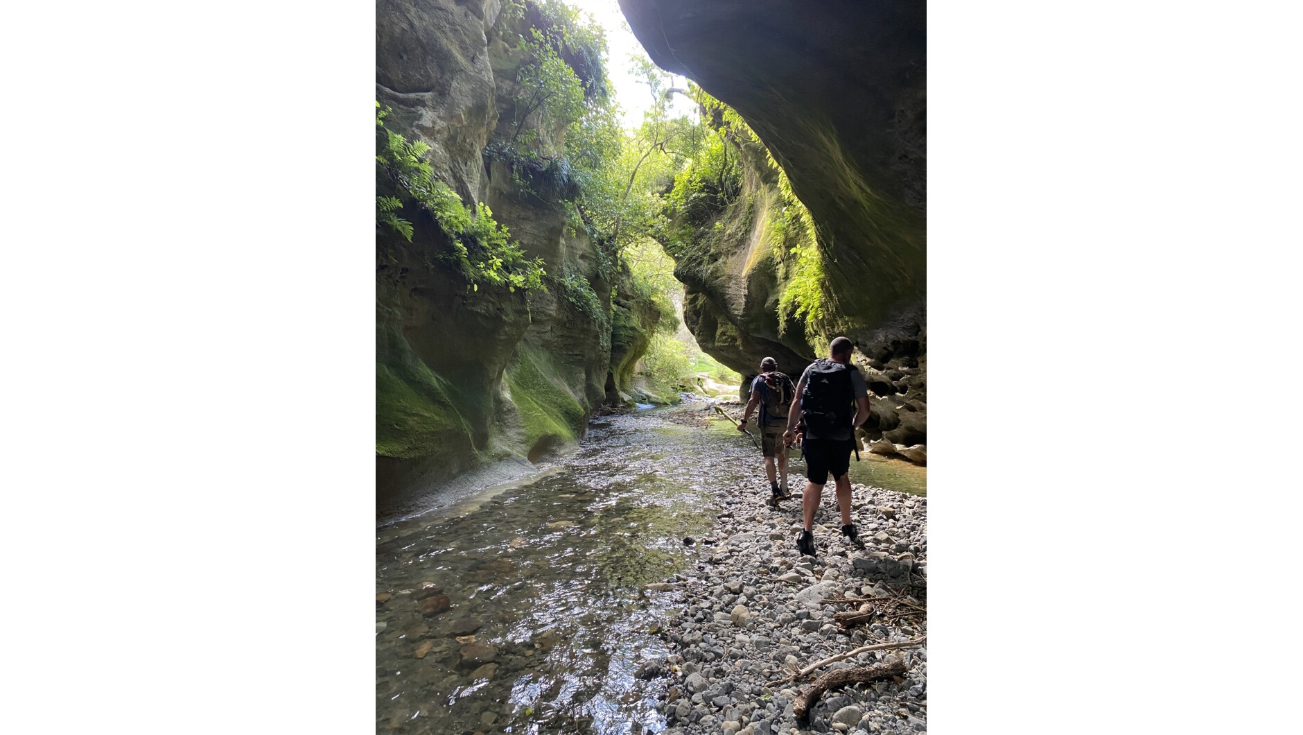 Patuna Farm Adventures | Activities & Day Trips in Wairarapa, New Zealand