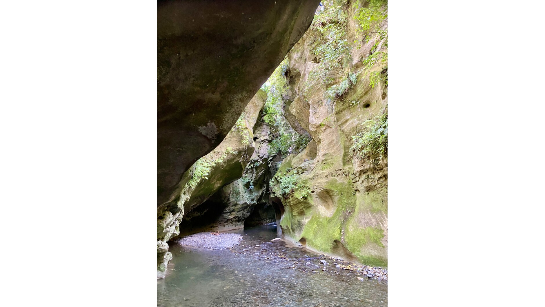 Patuna Farm Adventures | Activities & Day Trips in Wairarapa, New Zealand