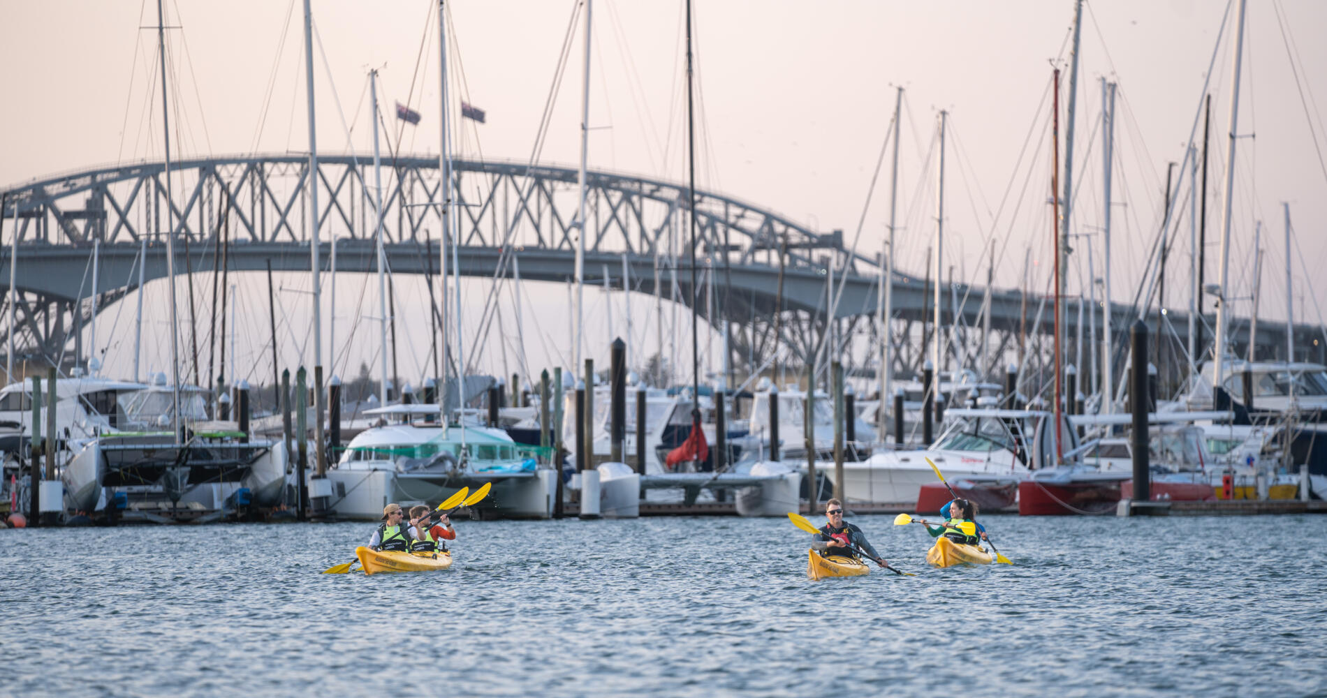 City Scenes Kayak Tour - Auckland Sea Kayaks | Activities & Day Trips ...