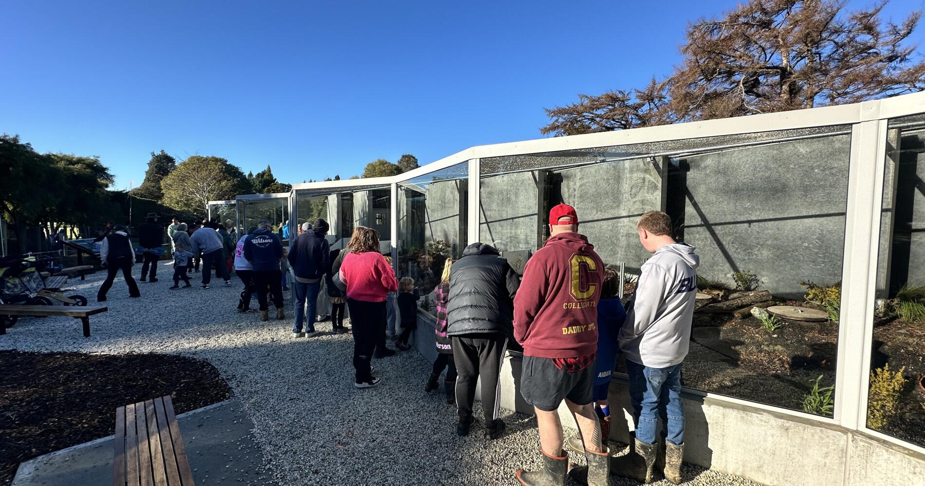 Visit Te Moutere - Tuatara Island | Activities & Day Trips in Southland ...