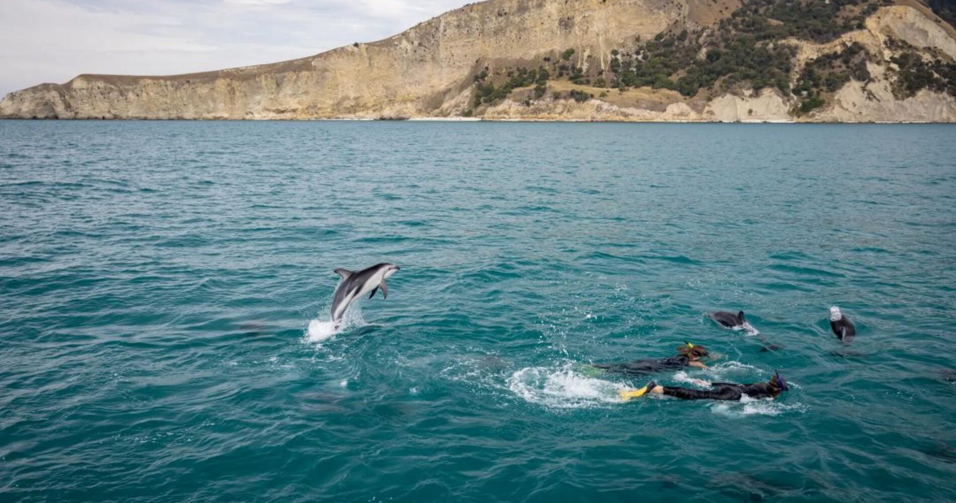 7 Day ‘A Coastal Epicurean Experience’ Guided Rail Tour | Great ...