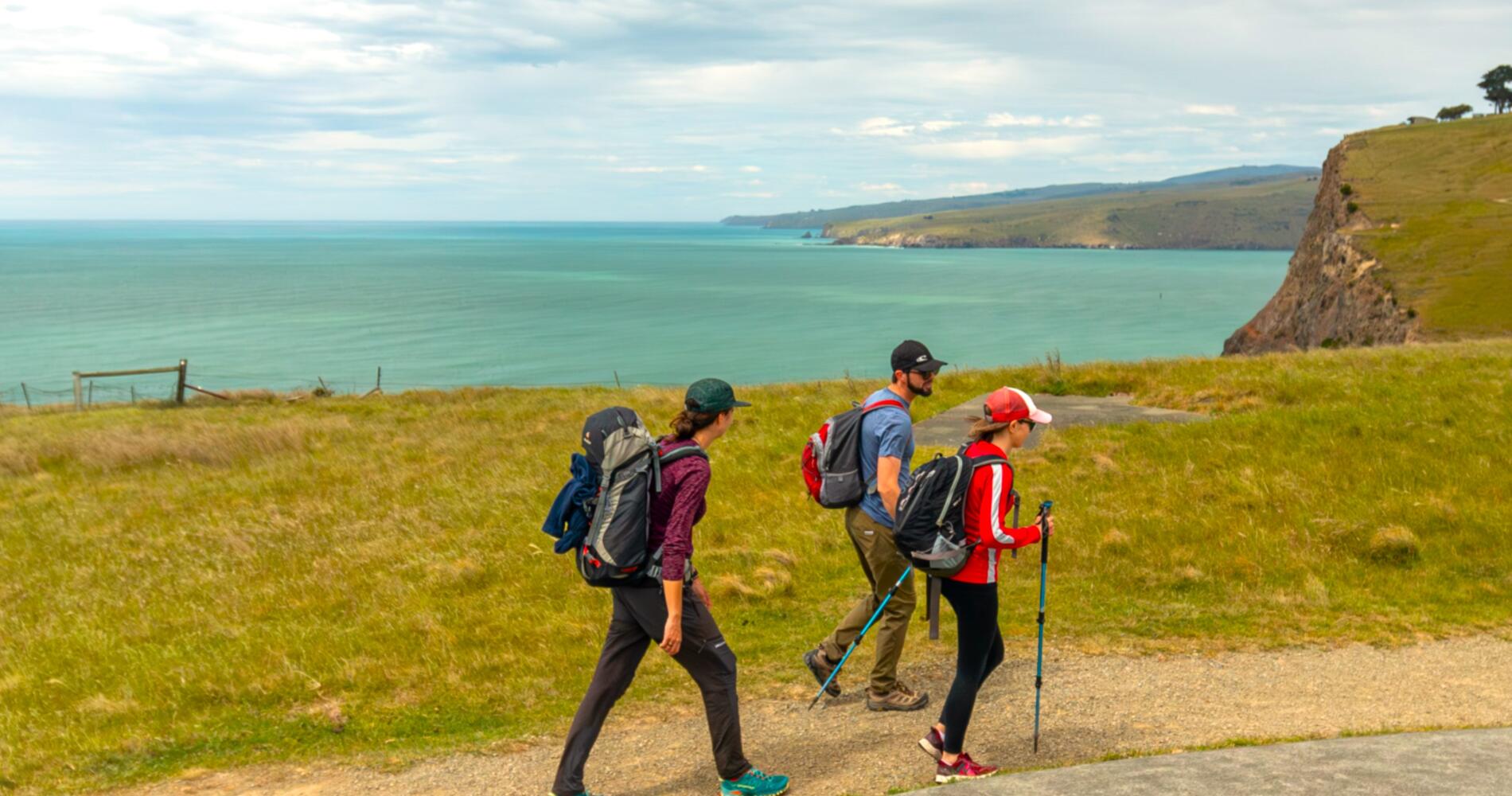 Godley Head Scenic Drive and Guided Walking Tour | Activities & Day ...