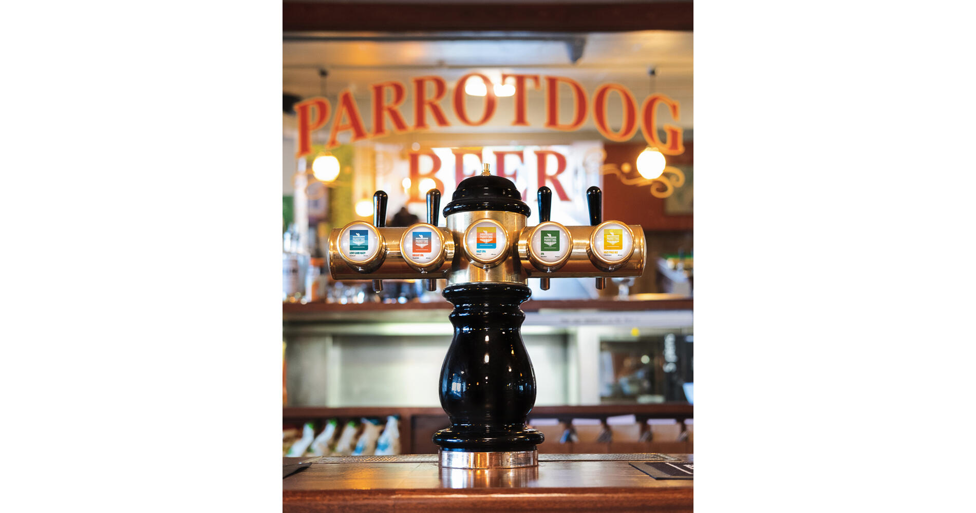 Parrotdog Brewery | Activities & Day Trips in Wellington, New Zealand