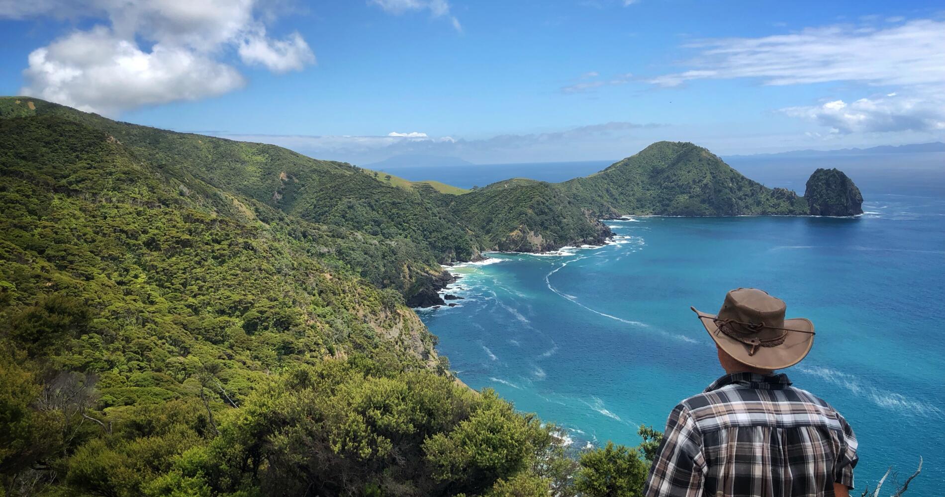 Taste of the Coromandel Peninsula Guided Walk | Great Walks of New ...
