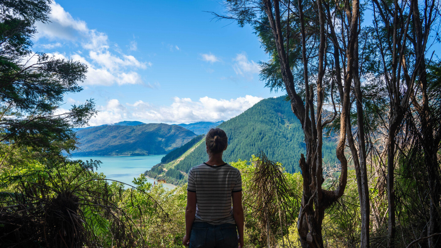 Nydia Track Self-Guided Walk | Great Walks of New Zealand | Multi-Day ...