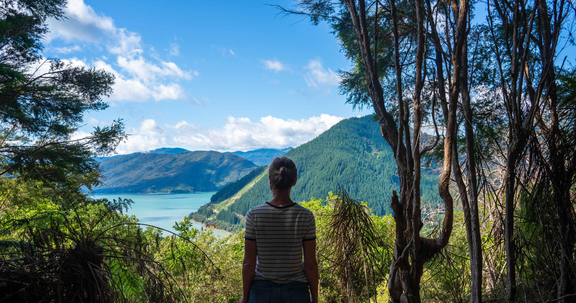 Nydia Track Self-Guided Walk | Great Walks of New Zealand | Multi-Day ...