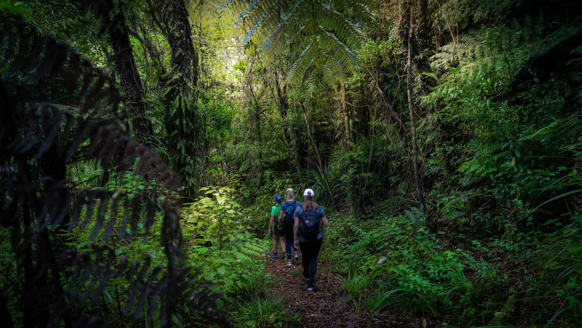 Nydia Track Self-Guided Walk | Great Walks of New Zealand | Multi-Day ...