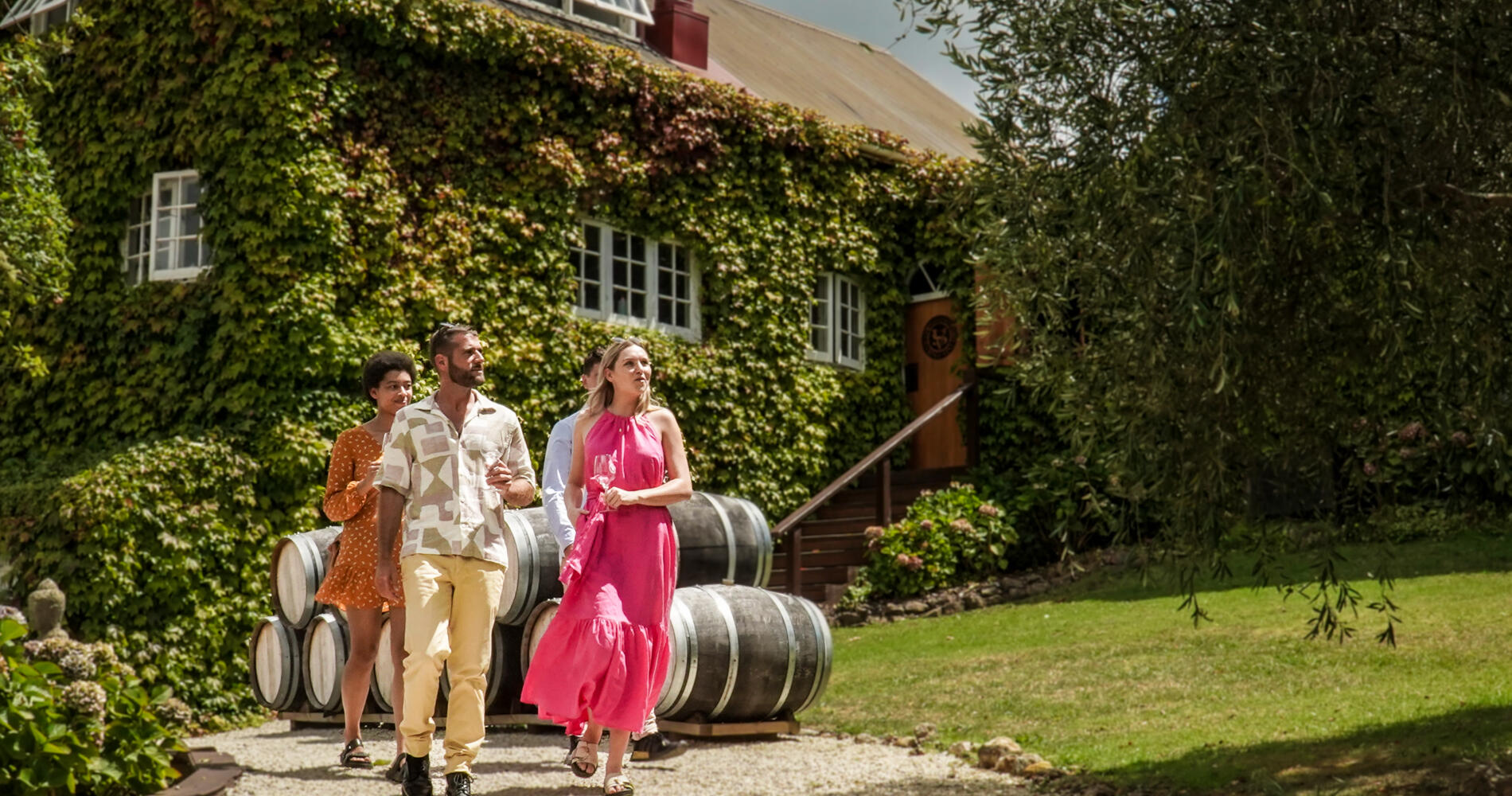 Waiheke Island Private Food and Wine Tour | Terra & Tide | Activities & Day Trips in Auckland ...