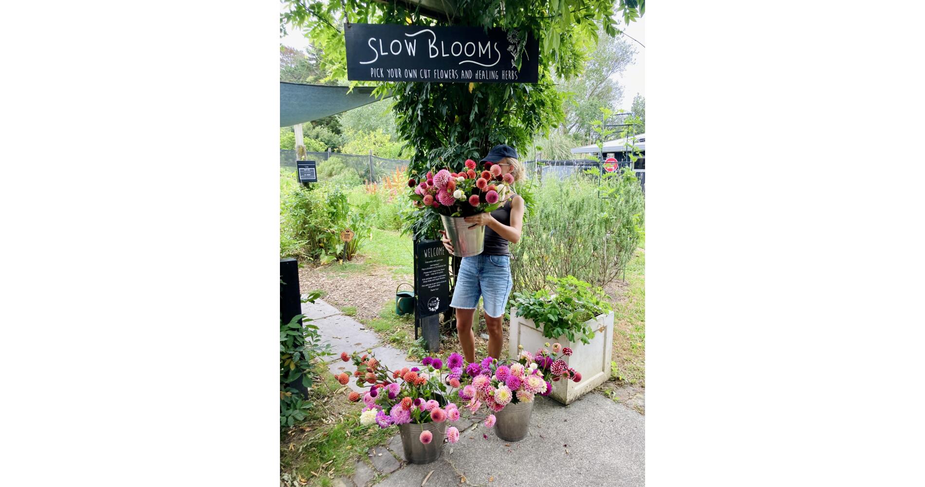 Slow Blooms - Pick your own flowers in a sustainable permaculture ...