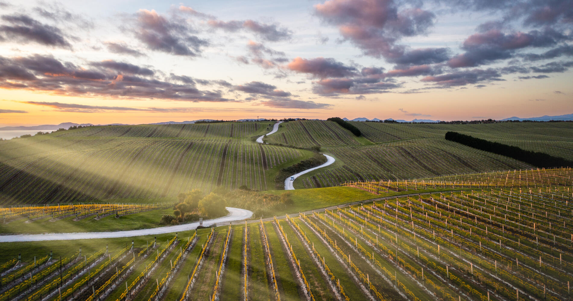 16 Days Signature New Zealand - Highlights - Fully Escorted Group Tour ...