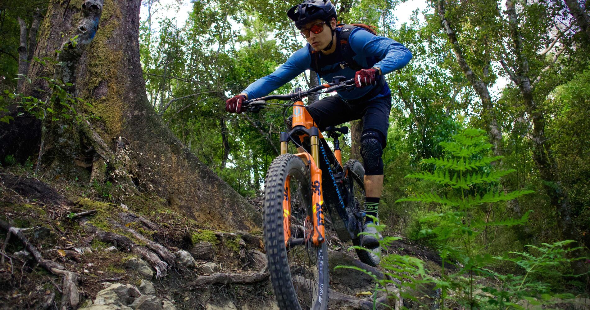 Nelson E-Bike Mountain Adventure - Half Day Guided Tour | Activities ...