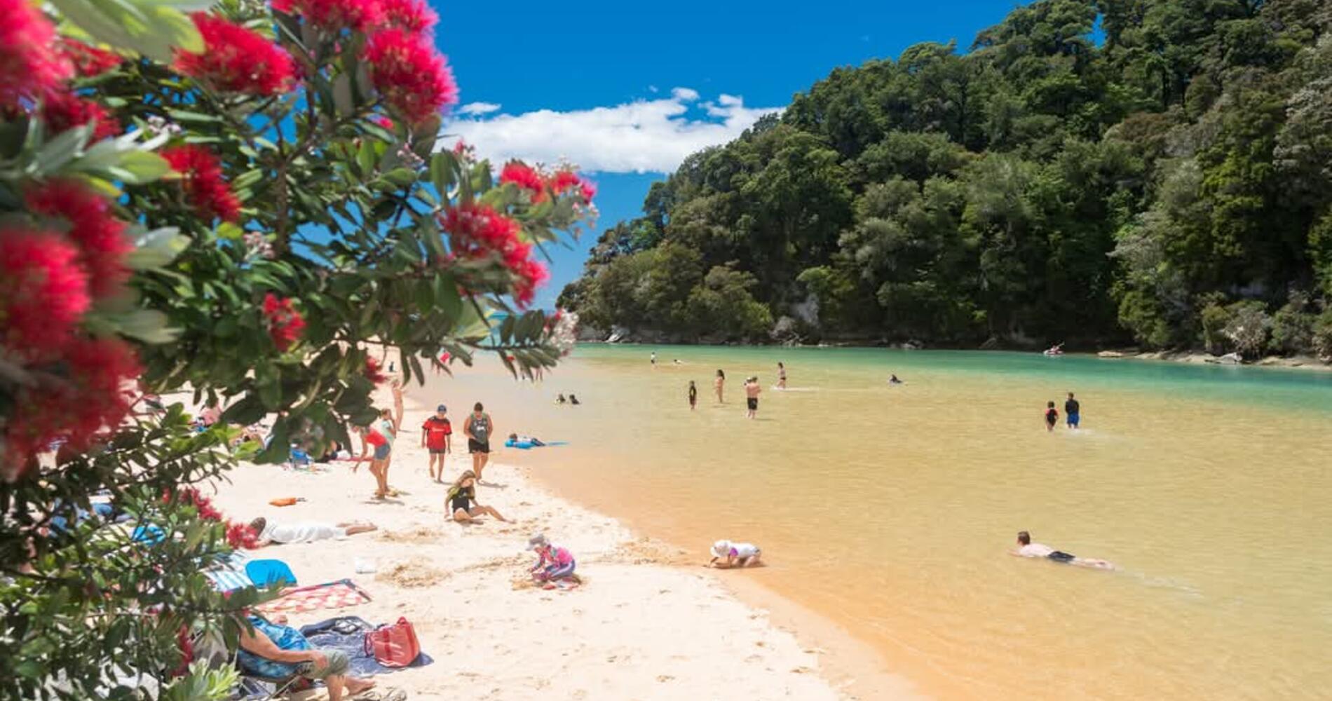 Abel Tasman Great Taste Trio- Cycle, Walk (& Kayak option) | Activities ...