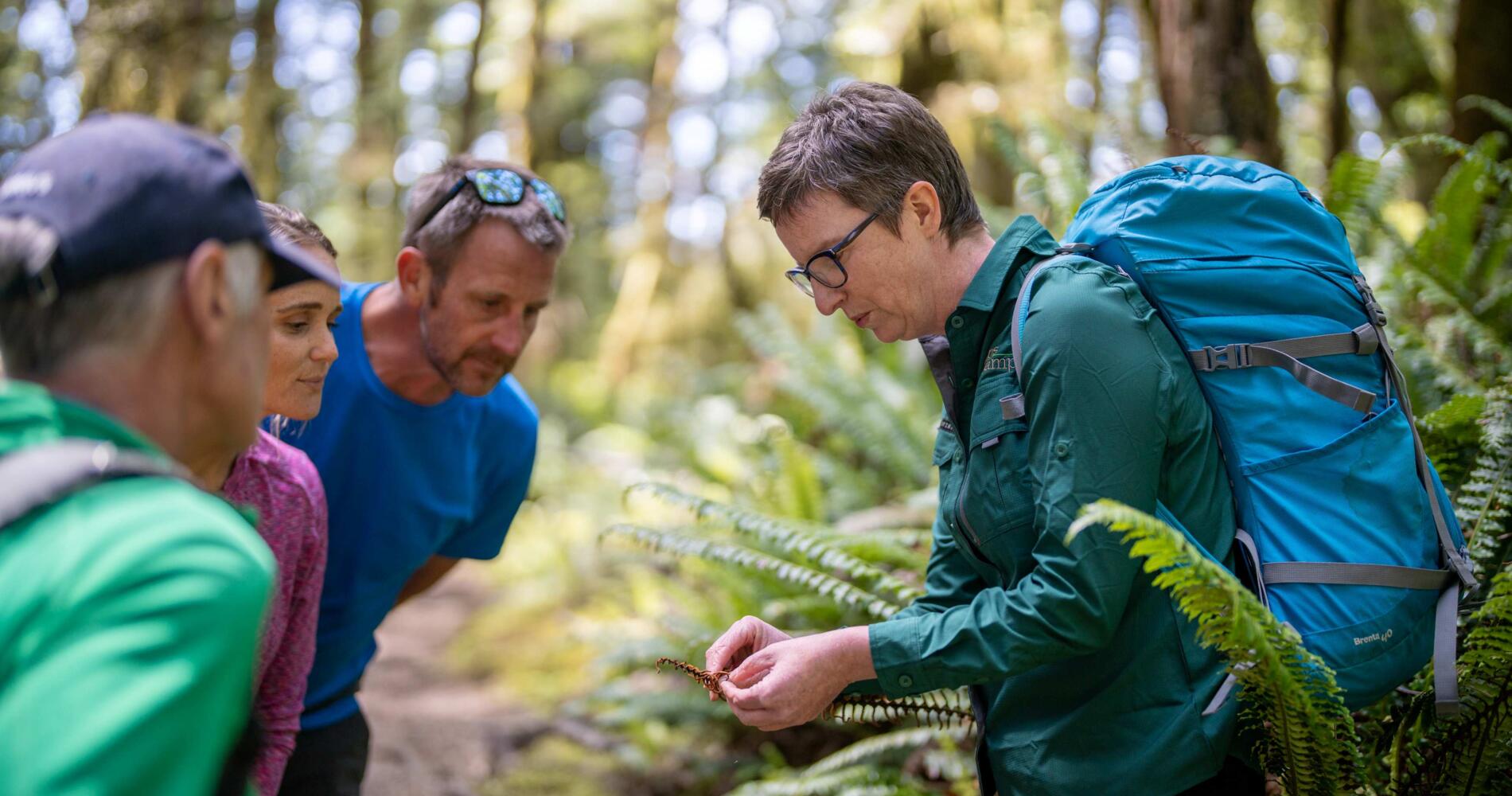 Kepler Track Jet Boat and Hike - Trips & Tramps | Activities & Day ...