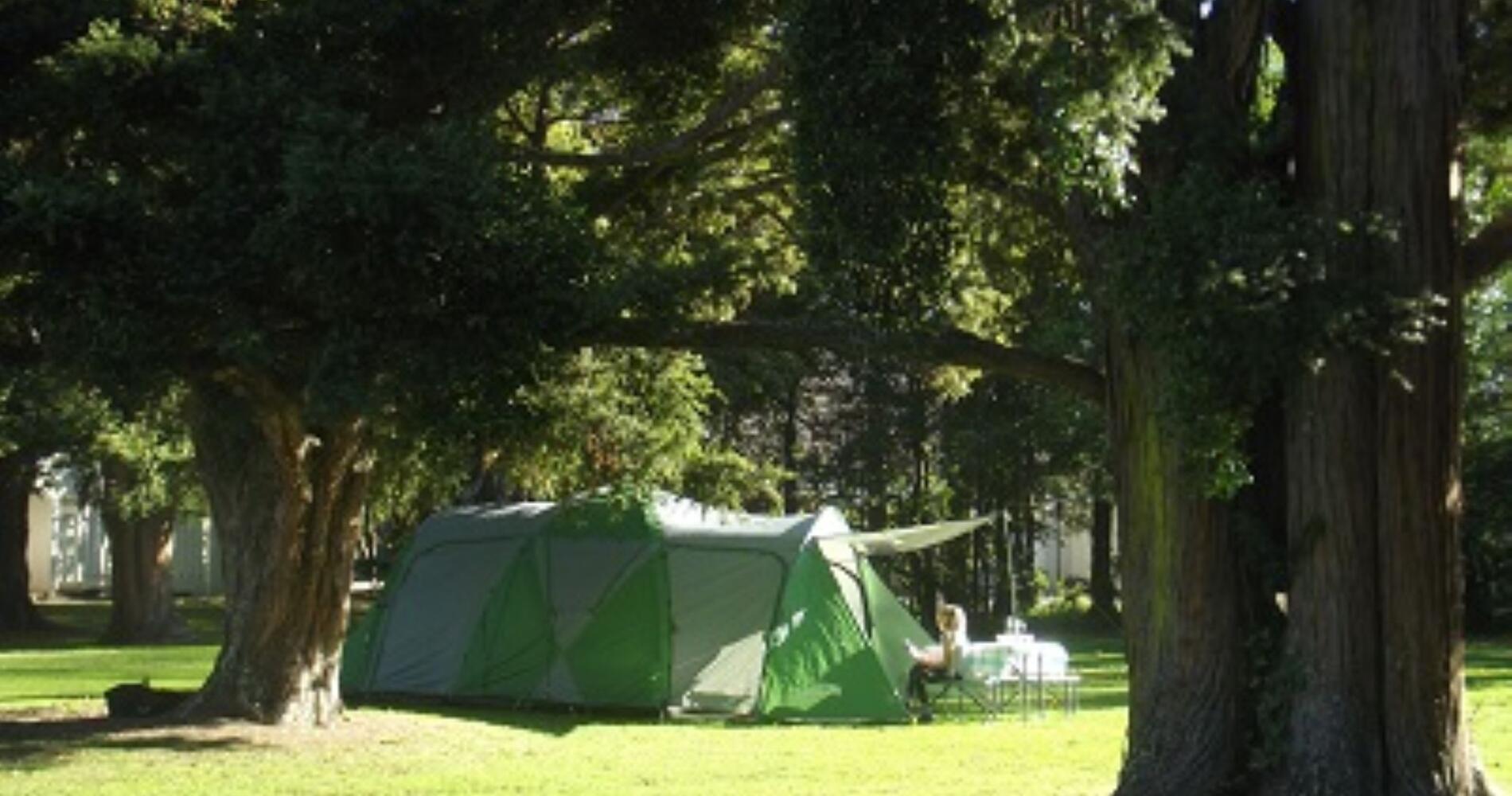 Greytown Campground | Accommodation in Wairarapa, New Zealand