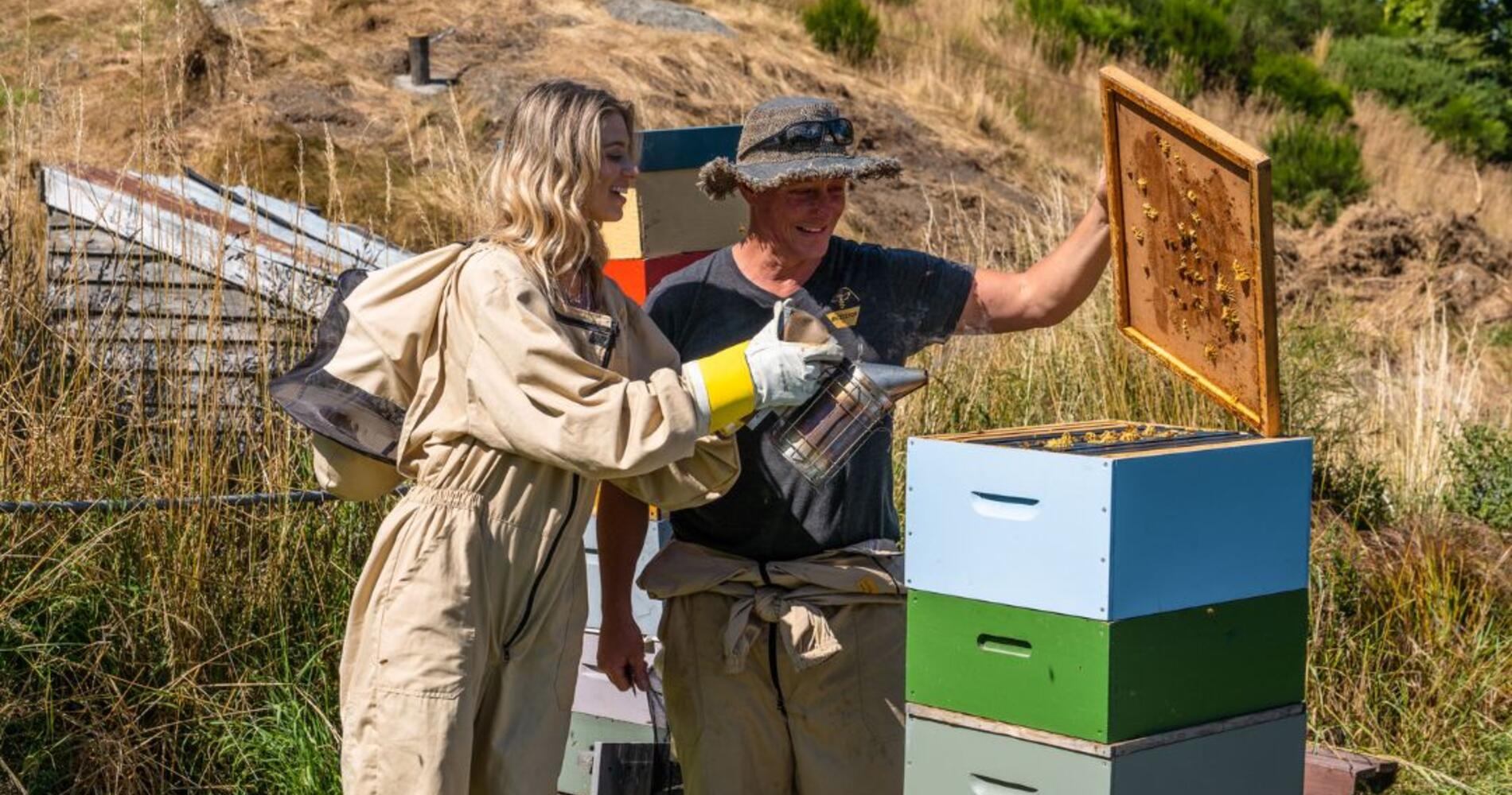 Heli Beekeeping Experience (exclusive access) - Alpine Luxury Tours ...