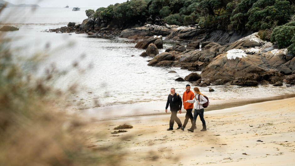 Stewart Island Wilderness Walk | Activities & Day Trips in Stewart ...