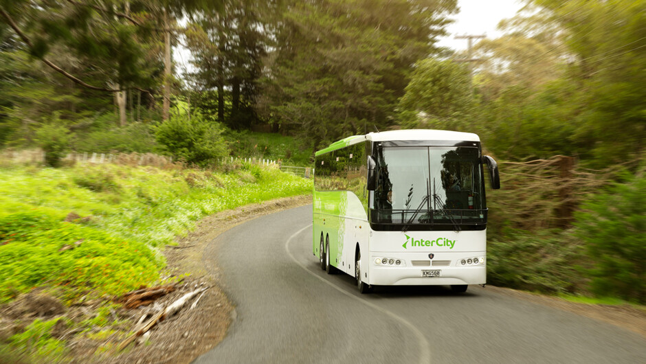 Create Your Own Bus Trip - Daily Departures | Activities & Day Trips in ...