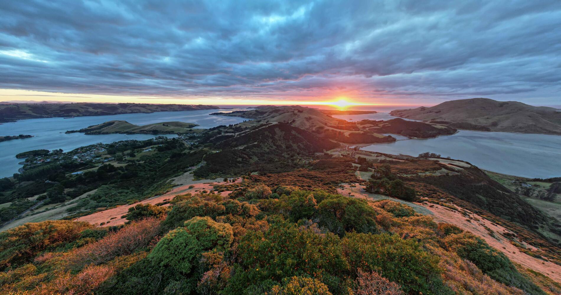 Harbour Cone Sanctuary | Accommodation in Dunedin, New Zealand