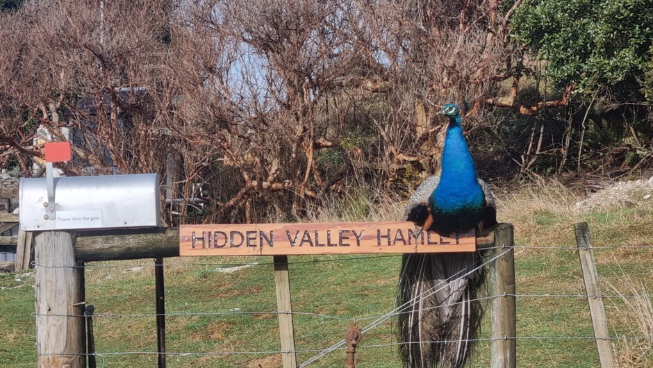 Camping Huts - Hidden Valley Farm NZ | Accommodation in Nelson Tasman ...