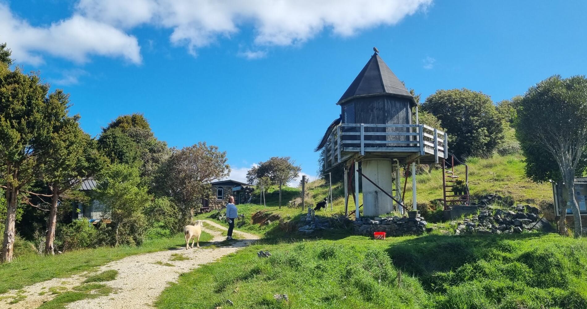 Day Visits - Hidden Valley Farm Sanctuary | Activities & Day Trips in ...