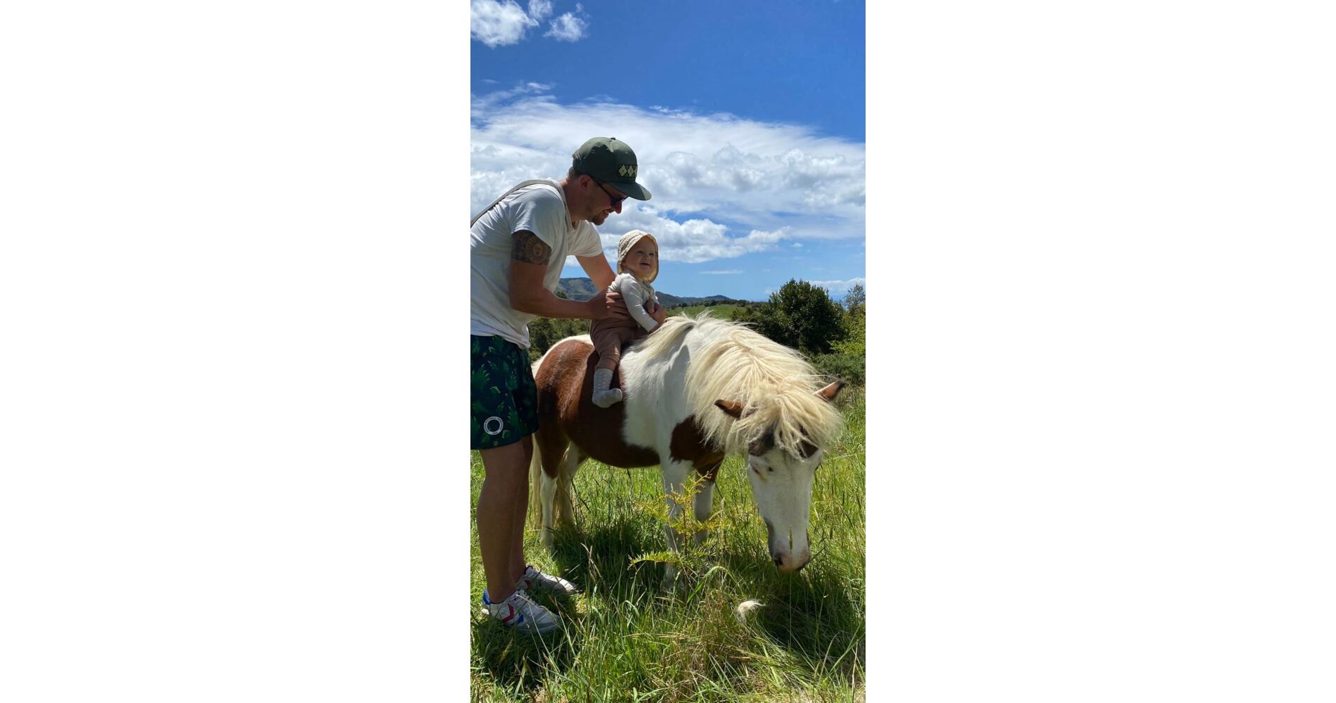 Miniature Pony Rides at Hidden Valley Farm | Activities & Day Trips in ...