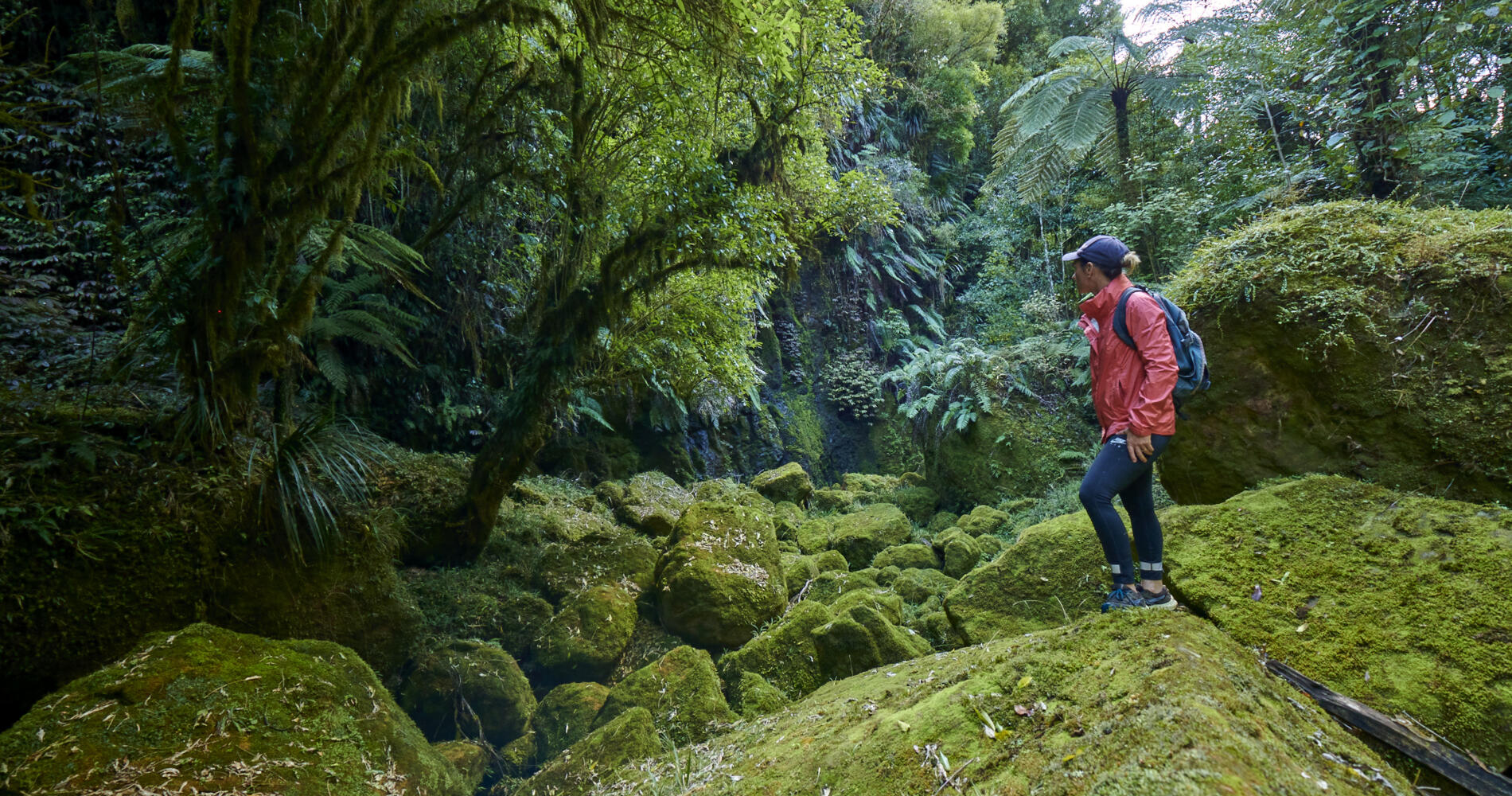 Real Native Walking Retreat | Multi-Day Tours & Packages