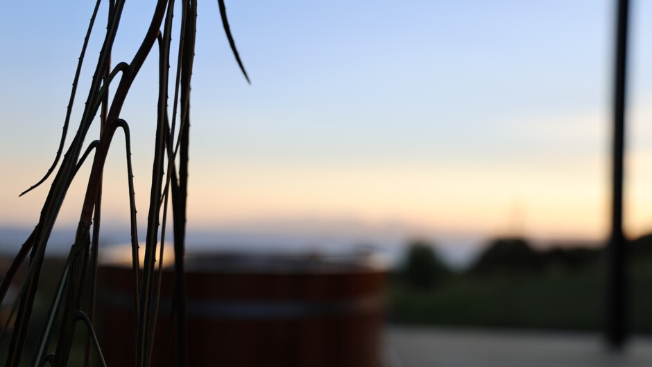 Shared Sauna & Cold Plunge Experience | Activities & Day Trips in Taupō ...