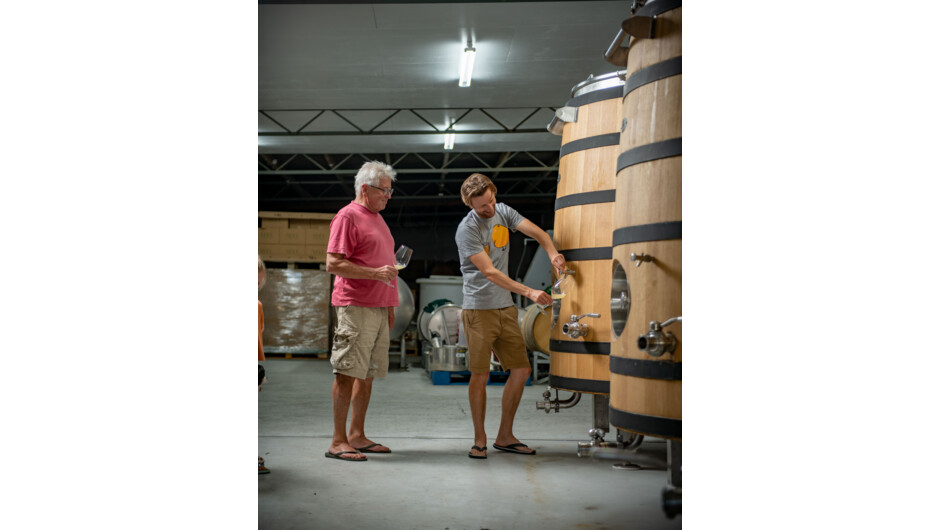 Wine and Beyond at Abel | Activities & Day Trips in Nelson Tasman, New ...