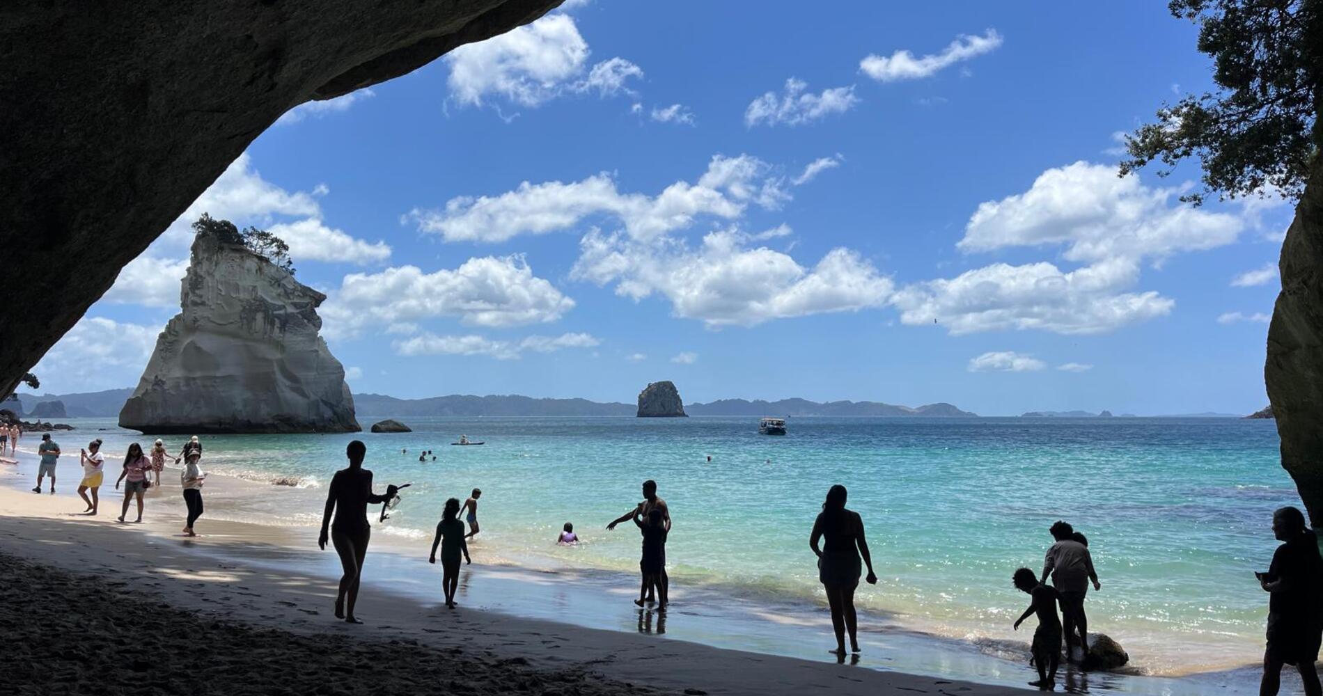 7-Day North Island Private Explorer: Auckland to Wellington | Multi-Day ...