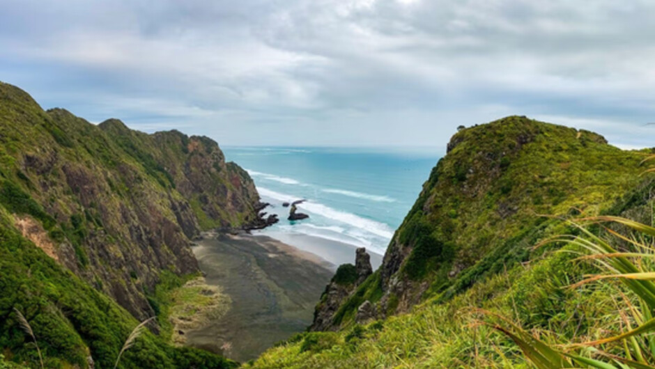 Mercer Bay Hiking & Waterfalls Private Tour - Auckland & Beyond Tours ...
