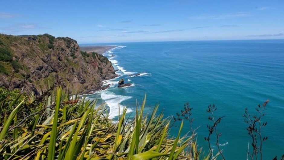 Mercer Bay Hiking & Waterfalls Private Tour - Auckland & Beyond Tours ...