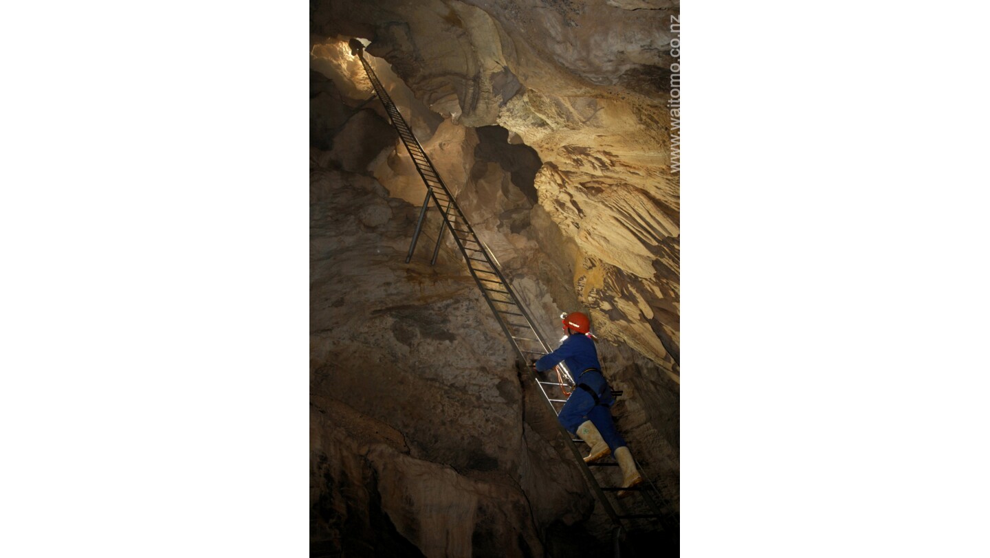 Lost World Half Day Option - 100 Metre Abseil & Cave Exploration ...