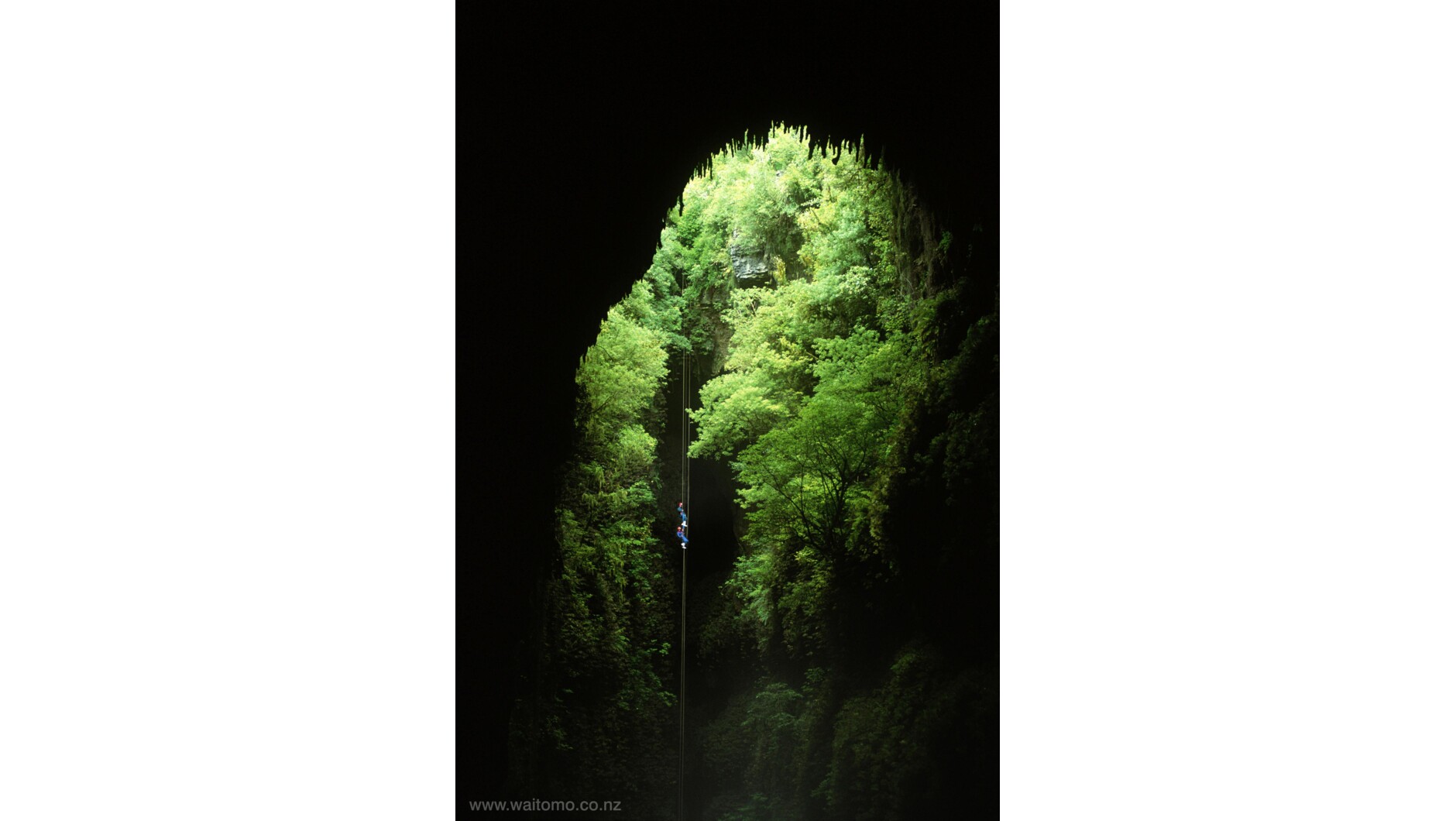 Lost World Half Day Option - 100 Metre Abseil & Cave Exploration ...