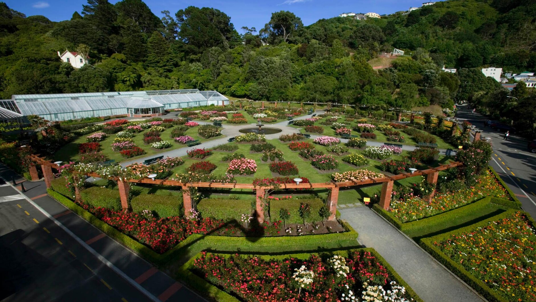 Wellington Botanic Garden | Activity in Wellington, New Zealand