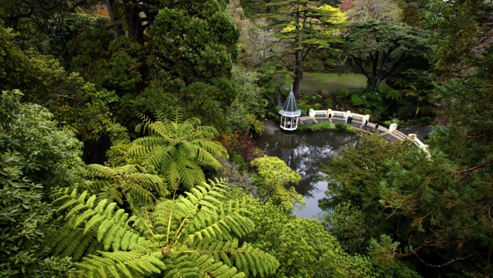 Wellington Botanic Garden | Activity in Wellington, New Zealand