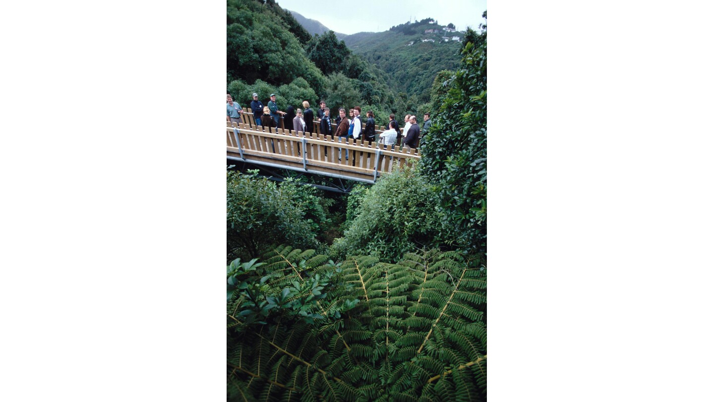Otari-Wilton's Bush Native Botanic Garden | Activity in Wellington, New ...