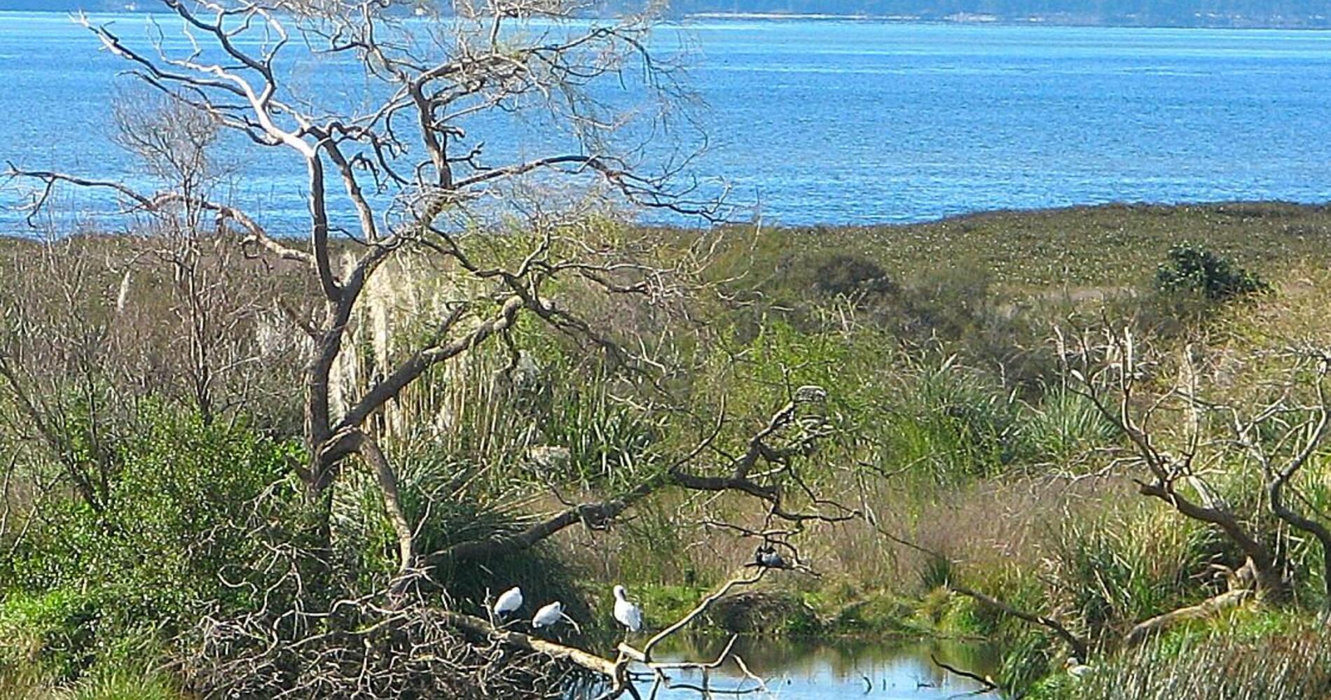 Katikati Bird Gardens | Activities & Day Trips in Bay of Plenty, New ...