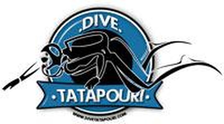 Dive Tatapouri Reef Ecology Tour with Wild Stingrays | Activities & Day ...