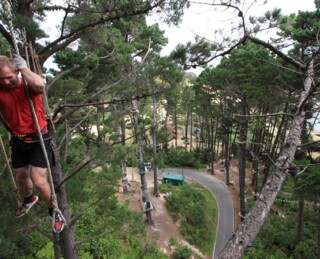 Adrenalin Forest Wellington | Activity in Wellington, New Zealand